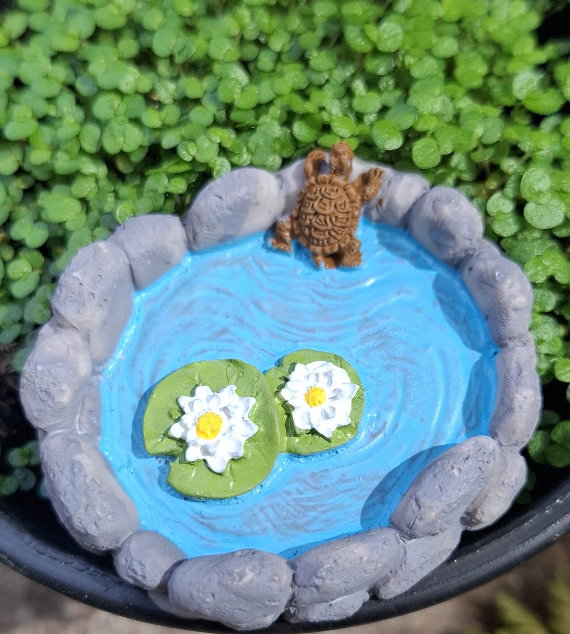 Mini Pond – The Plant Lady